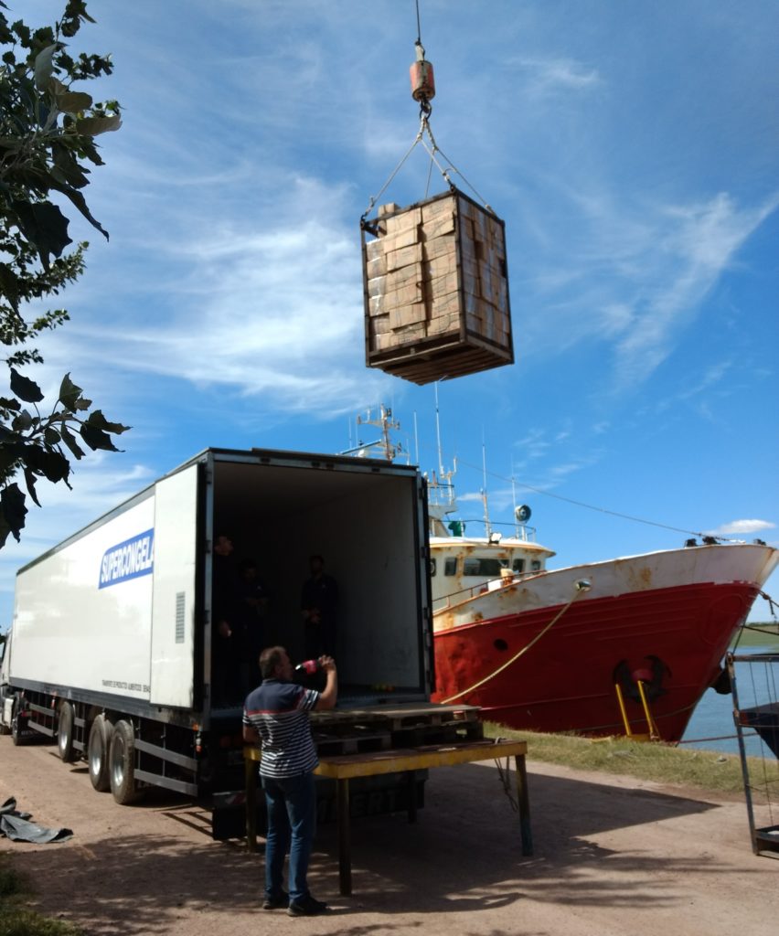 El Hinterland: los puertos y sus barcos - Confluencia Portuaria